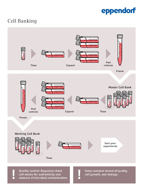 (PDF) Cell banking