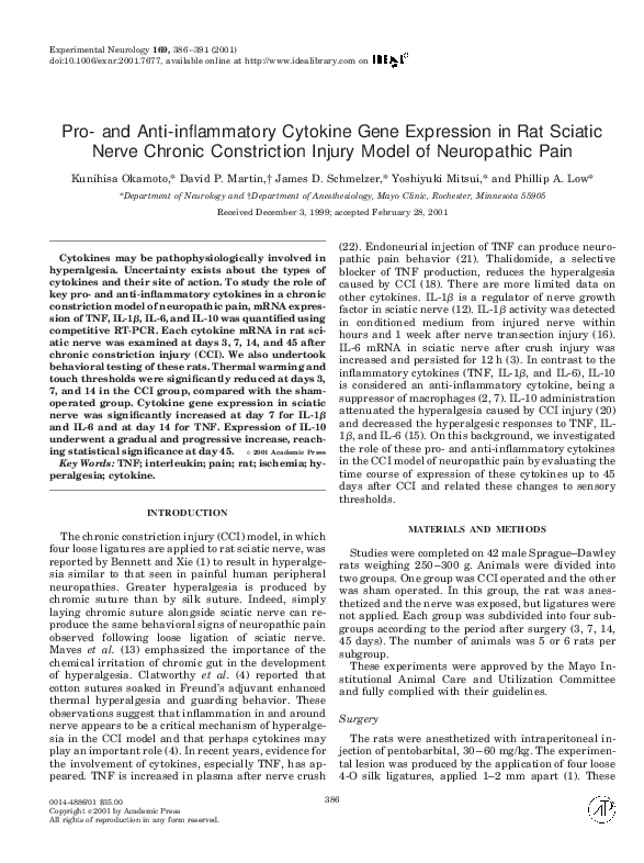 (PDF) Pro- and Anti-inflammatory Cytokine Gene Expression in Rat ...