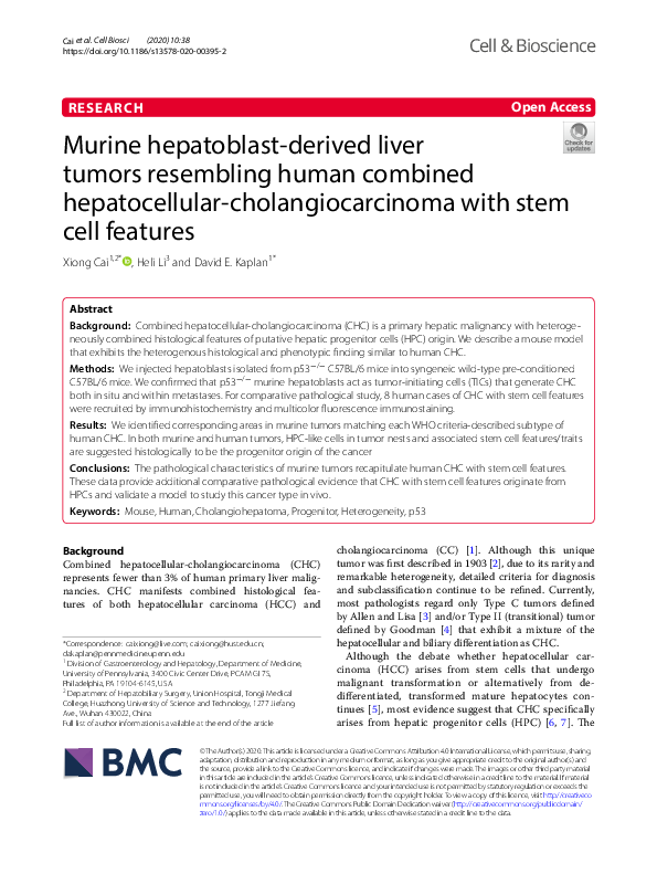 (PDF) Murine hepatoblast-derived liver tumors resembling human combined hepatocellular ...