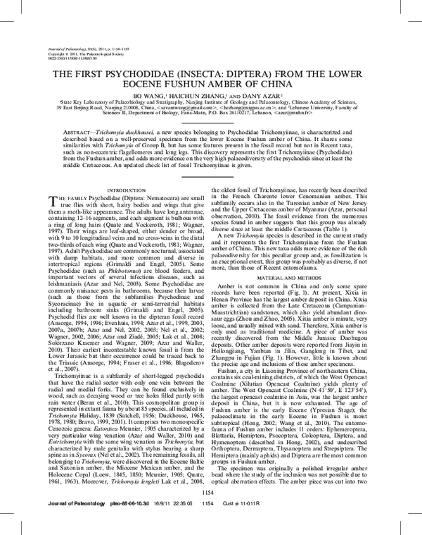(PDF) The First Psychodidae (Insecta: Diptera) from the Lower Eocene ...