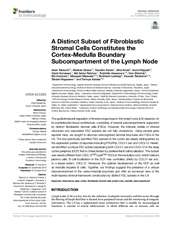 (PDF) A Distinct Subset of Fibroblastic Stromal Cells Constitutes the ...