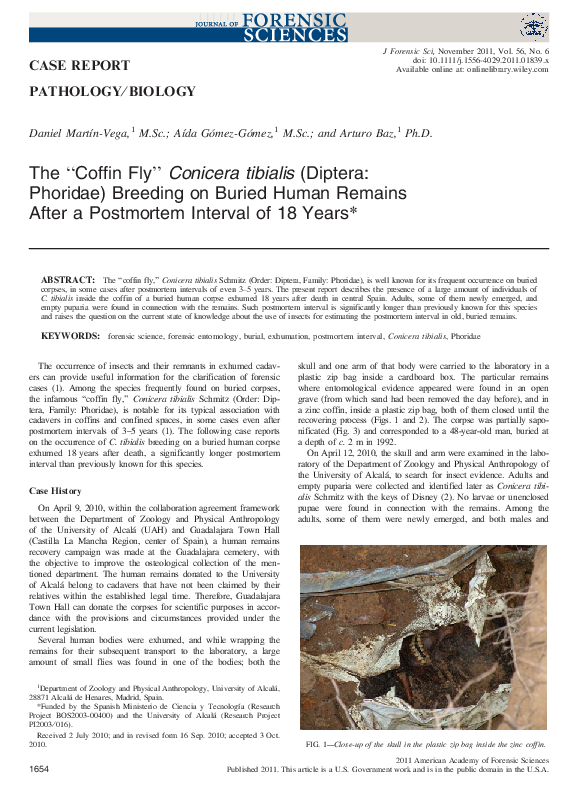 (PDF) The “coffin fly”Conicera tibialis (Diptera: Phoridae) breeding on ...