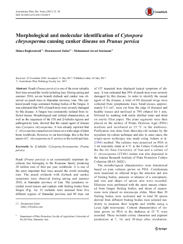 (PDF) Morphological and molecular identification of Cytospora ...
