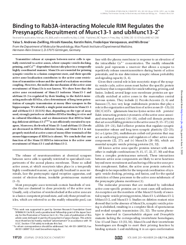 (PDF) Binding to Rab3A-interacting Molecule RIM Regulates the ...
