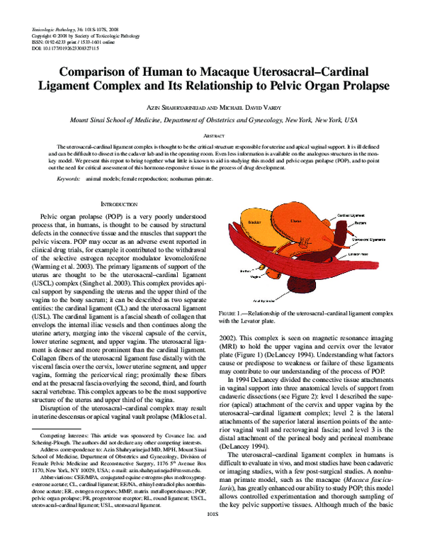 (PDF) Comparison of Human to Macaque Uterosacral-Cardinal Ligament ...