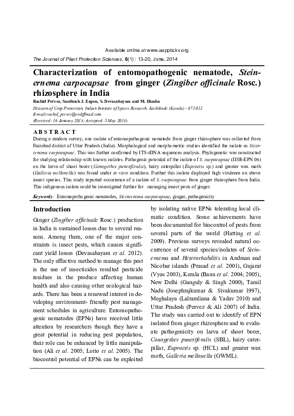 (PDF) Characterization of entomopathogenic nematode, Steinernema ...
