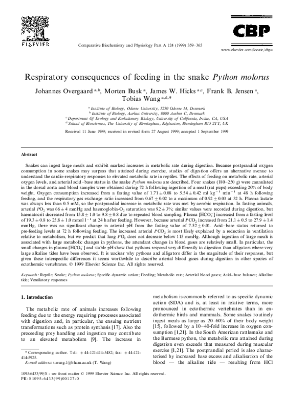 (PDF) Respiratory consequences of feeding in the snake Python molorus