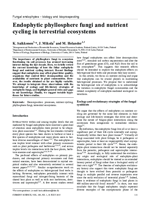 (PDF) Endophytic phyllosphere fungi and nutrient cycling in terrestrial ...