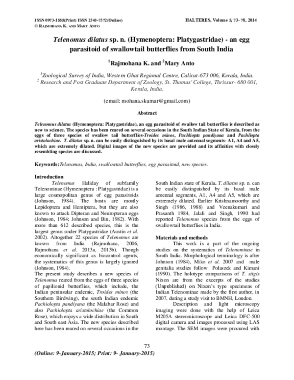 (PDF) Telenomus dilatus sp. n. (Hymenoptera: Platygastridae) - an egg ...
