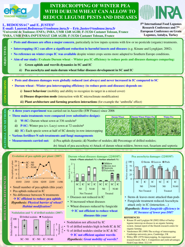(PDF) Intercropping winter pea with durum wheat to reduce legume pests ...