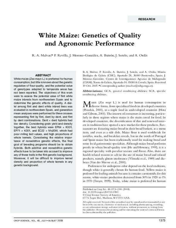 (PDF) White Maize: Genetics of Quality and Agronomic Performance