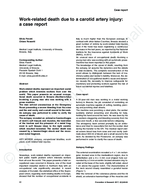 (PDF) Work-related death due to a carotid artery injury: a case report