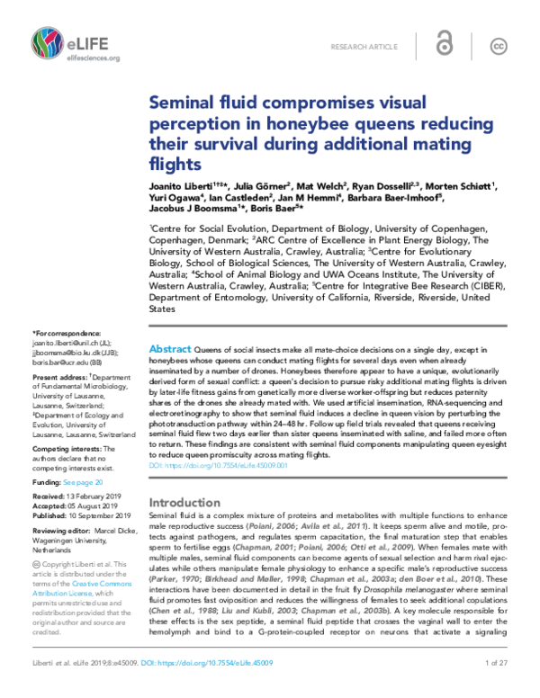 (PDF) Seminal fluid compromises visual perception in honeybee queens ...