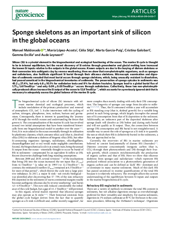 (PDF) Sponge skeletons as an important sink of silicon in the global oceans