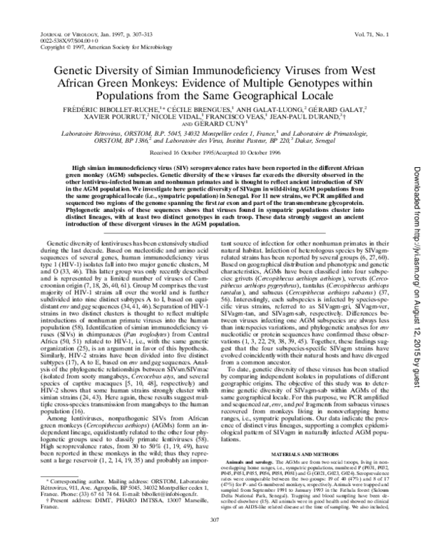 (PDF) Genetic Diversity of Simian Immunodeficiency Virus Encoding HIV-1 ...