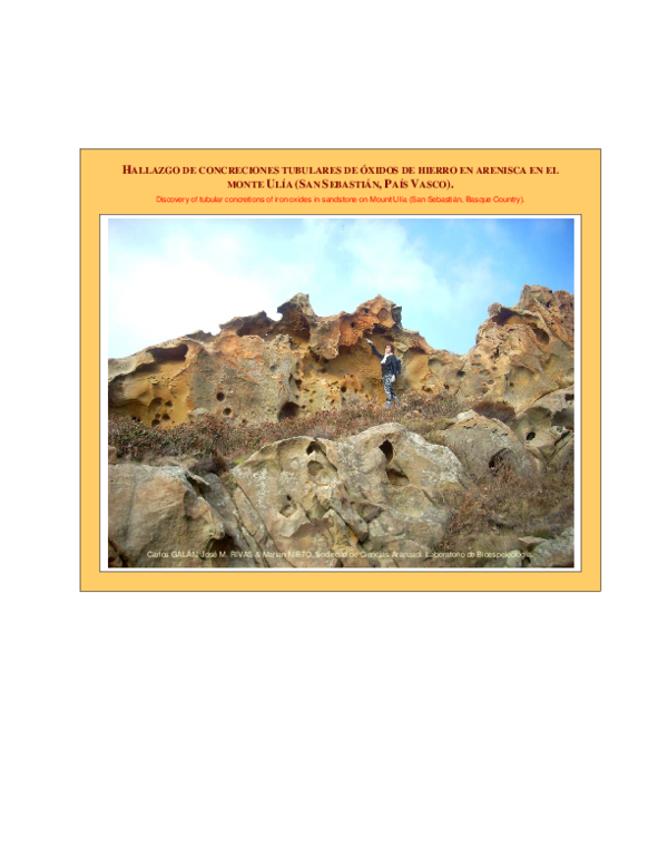 (PDF) HALLAZGO DE CONCRECIONES TUBULARES DE ÓXIDOS DE HIERRO EN ...