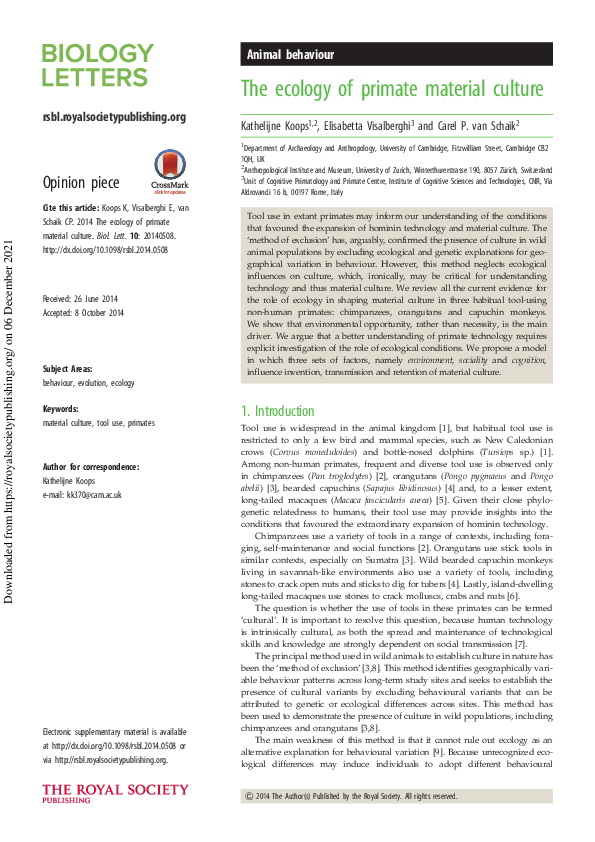 (PDF) Animal behaviour The ecology of primate material culture