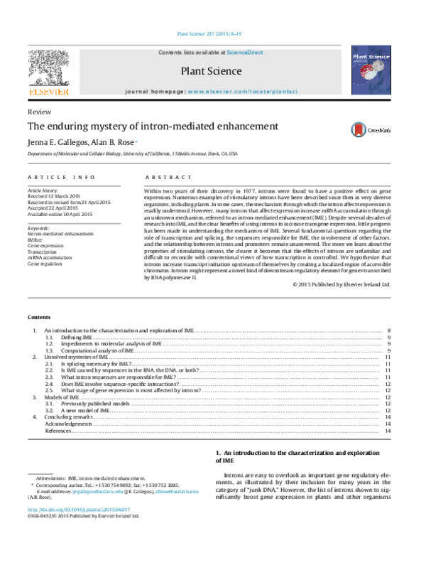 (PDF) The enduring mystery of intron-mediated enhancement
