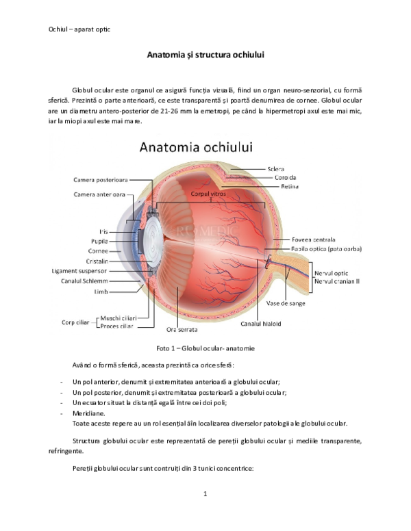 (DOC) Anatomia şi structura ochiului