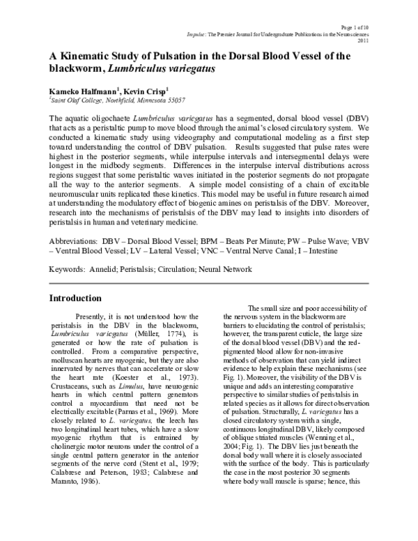 (PDF) A kinematic study of pulsation in the dorsal blood vessel of the ...