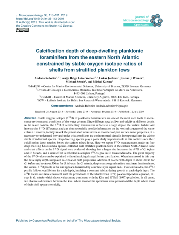 (PDF) Calcification depth of deep-dwelling planktonic foraminifera from ...
