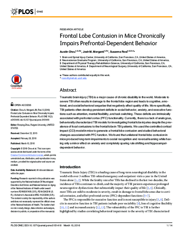 (PDF) Frontal Lobe Contusion in Mice Chronically Impairs Prefrontal ...