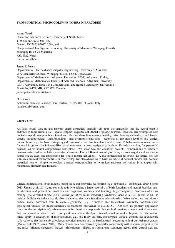 (PDF) From Cortical Microcolumns to Brain Barcodes