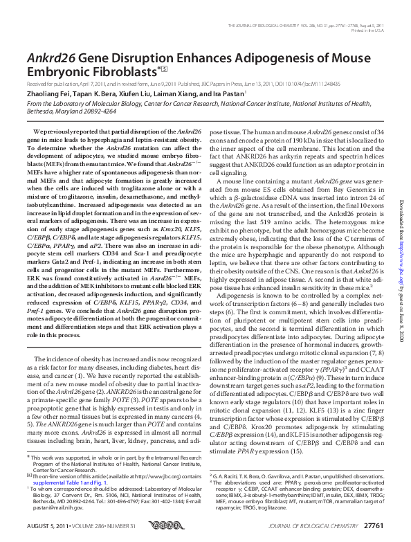 (PDF) Ankrd26 Gene Disruption Enhances Adipogenesis of Mouse Embryonic ...