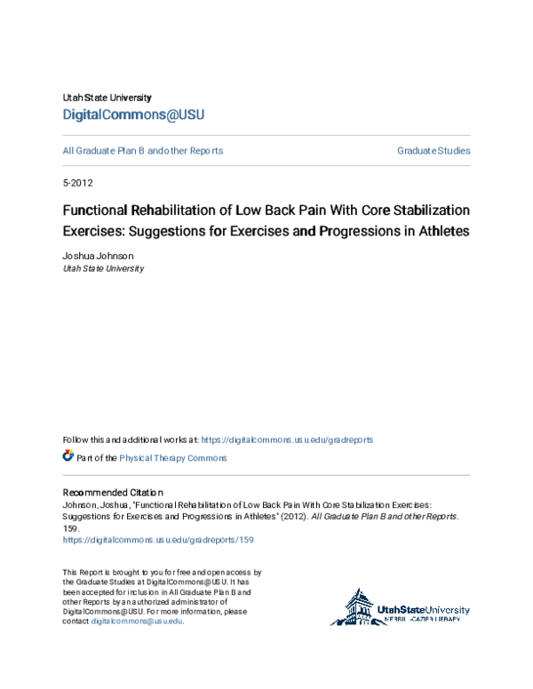 (PDF) Functional Rehabilitation of Low Back Pain with Core ...