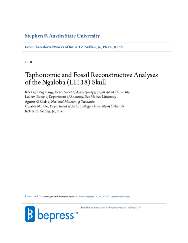 (PDF) Taphonomic and Fossil Reconstructive Analyses of the Ngaloba (LH ...