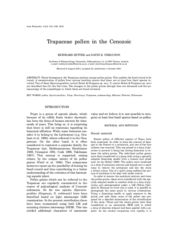 (PDF) Trapaceae pollen in the Cenozoic