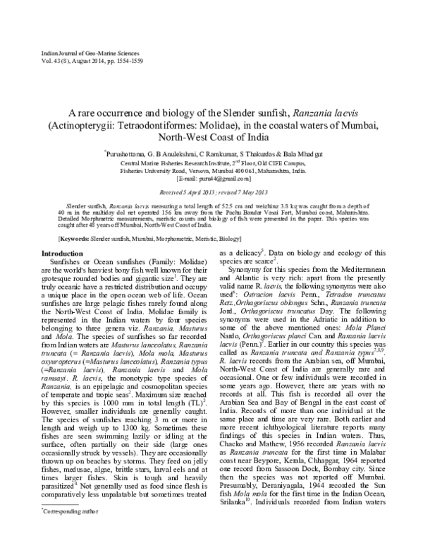(PDF) A rare occurrence and biology of the Slender sunfish, Ranzania ...