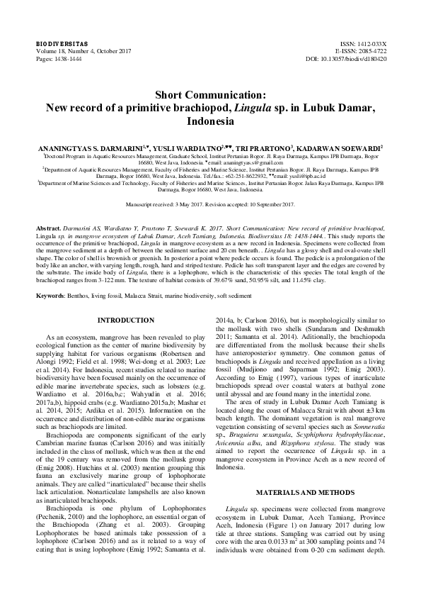 (PDF) Short Communication: New record of a primitive brachiopod ...
