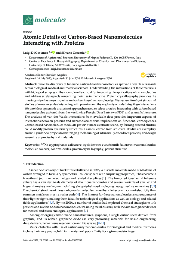 (PDF) Atomic Details of Carbon-Based Nanomolecules Interacting with ...
