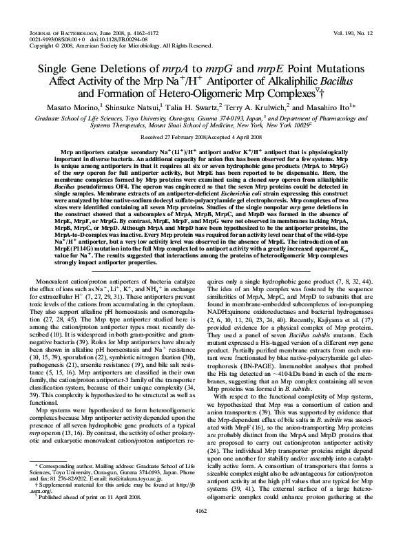 (PDF) Single Gene Deletions of mrpA to mrpG and mrpE Point Mutations ...