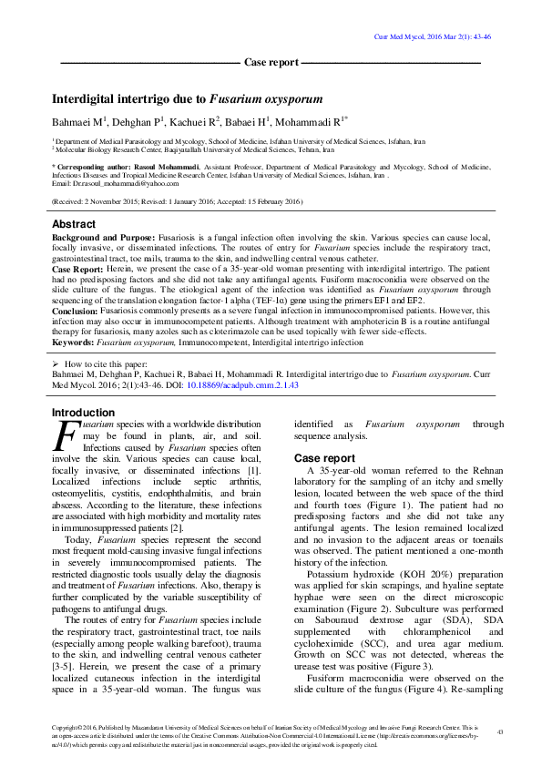 (PDF) Interdigital intertrigo due to Fusarium oxysporum