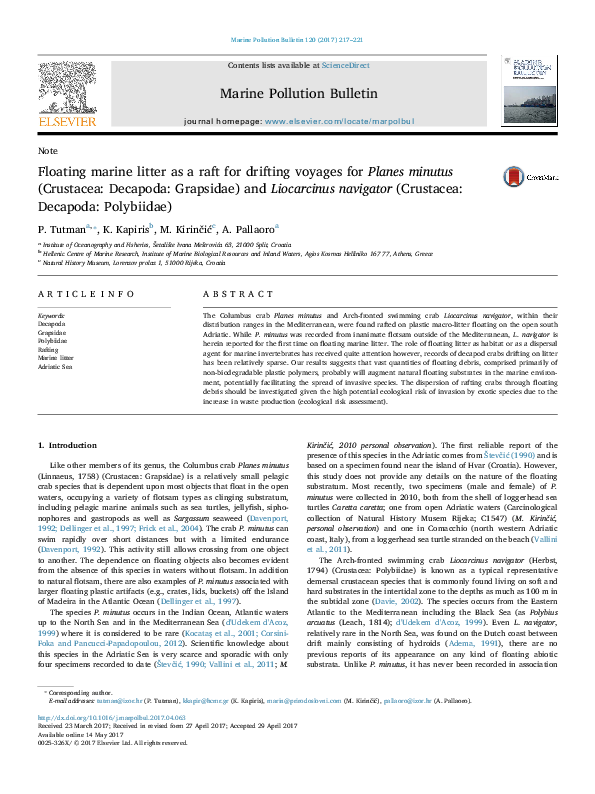 (PDF) Floating marine litter as a raft for drifting voyages for Planes ...