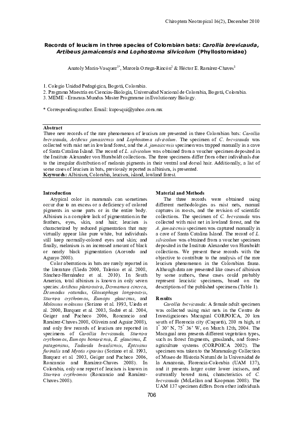 (PDF) Records of leucism in three species of Colombian bats: Carollia ...