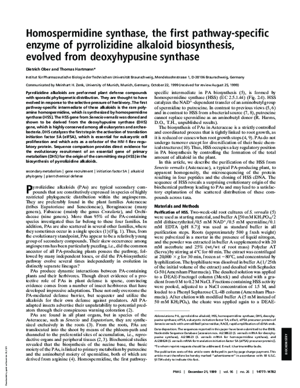 (PDF) Homospermidine Synthase, the First Pathway-Specific Enzyme of ...
