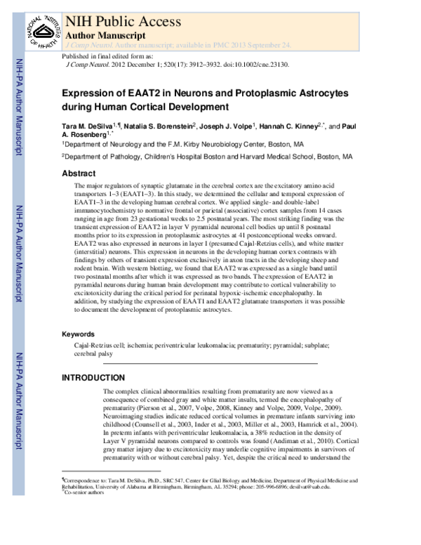 (PDF) Expression of EAAT2 in neurons and protoplasmic astrocytes during ...