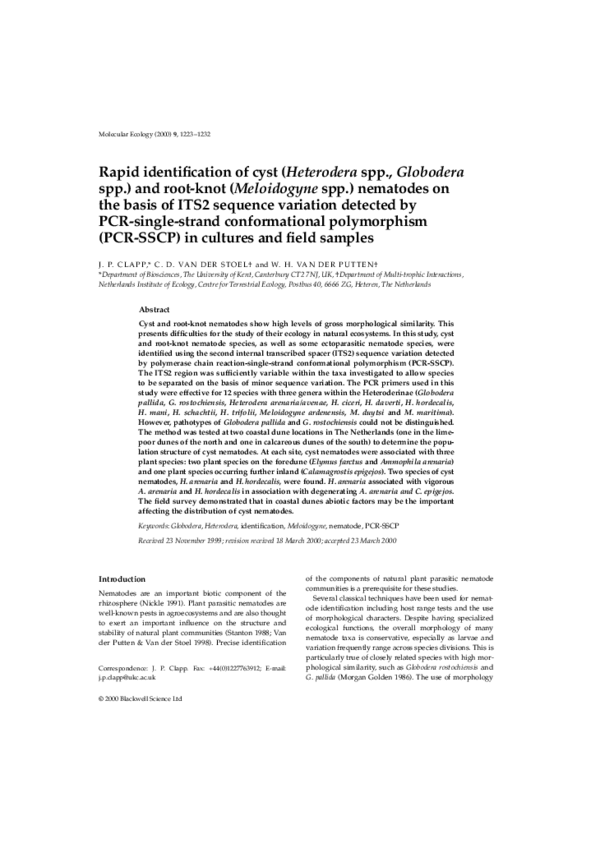 (PDF) Rapid identification of cyst (Heterodera spp., Globodera spp ...