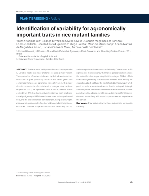 (PDF) Identification of variability for agronomically important traits in rice mutant families
