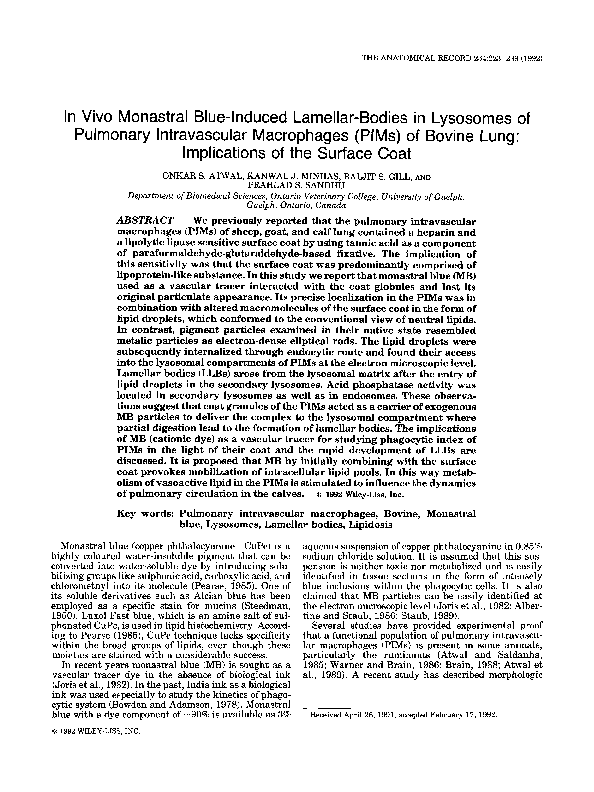 (PDF) Monastral Blue and Lipid Dynamics in PIMs