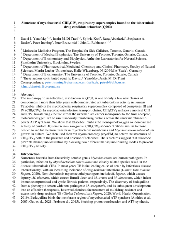 (PDF) Structure of mycobacterial CIII2CIV2 respiratory supercomplex ...