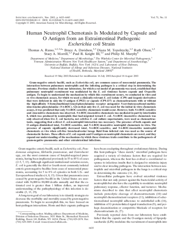 (PDF) Human Neutrophil Chemotaxis Is Modulated by Capsule and O Antigen ...