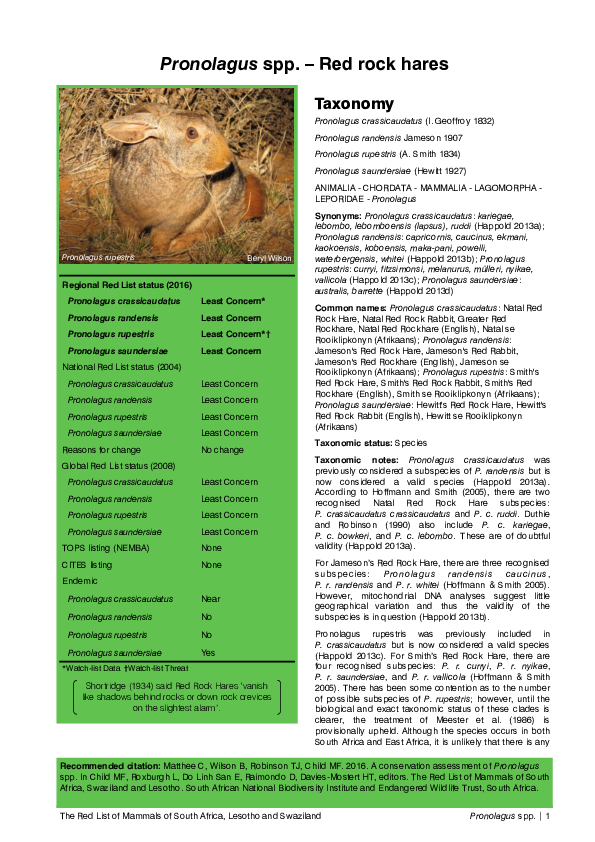 (PDF) Pronolagus spp. – Red rock hares | Beryl Wilson - Academia.edu