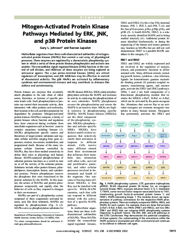 (PDF) Mitogen-Activated Protein Kinase Pathways Mediated by ERK, JNK, and p38 Protein Kinases