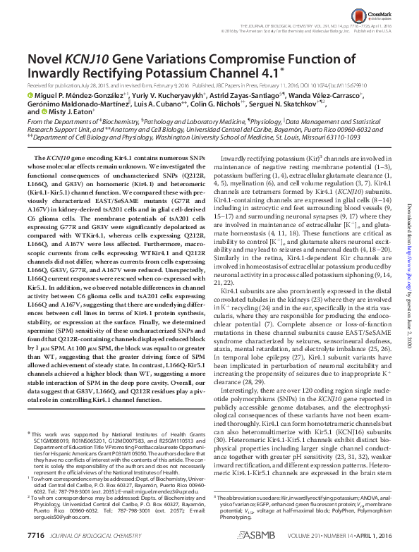 (PDF) Novel KCNJ10 variations compromise function of inwardly ...