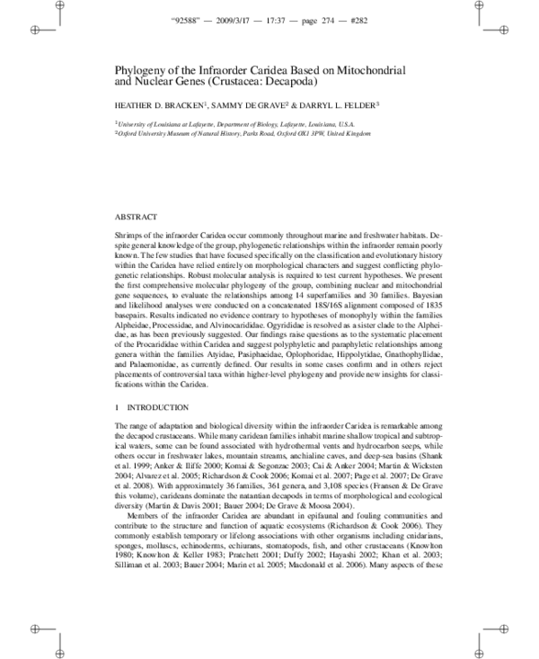 (PDF) Phylogeny of the infraorder Caridea based on mitochondrial and ...