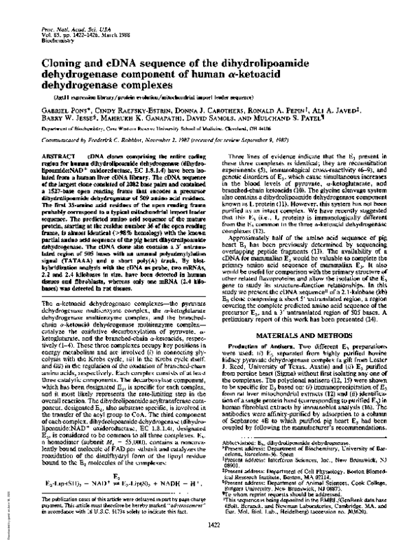 (PDF) Cloning and CDNA Sequence of the Dihydrolipoamide Dehydrogenase ...